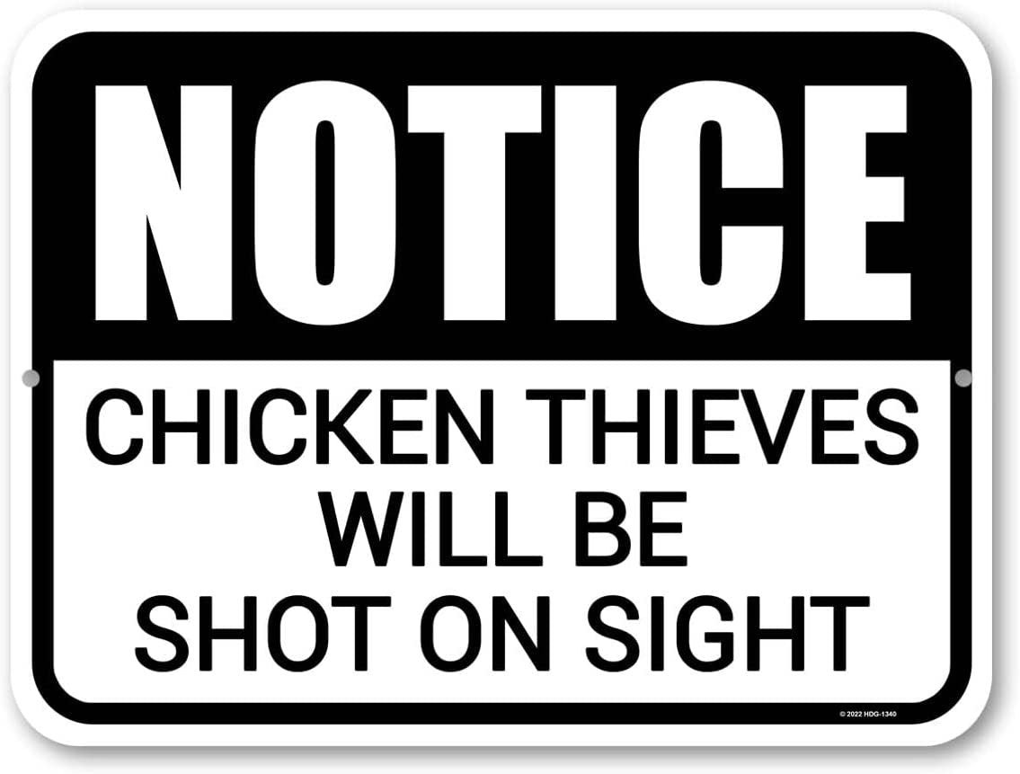 Honey Dew Gifts, Notice Chicken Thieves Will be Shot On Sight, 12 inch
